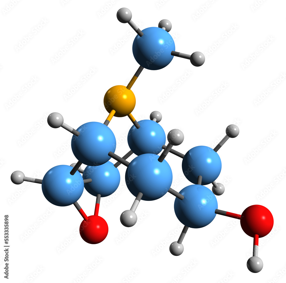 3D image of Scopine skeletal formula - molecular chemical structure of ...