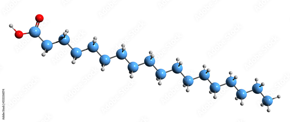 3D image of Stearic acid skeletal formula - molecular chemical ...