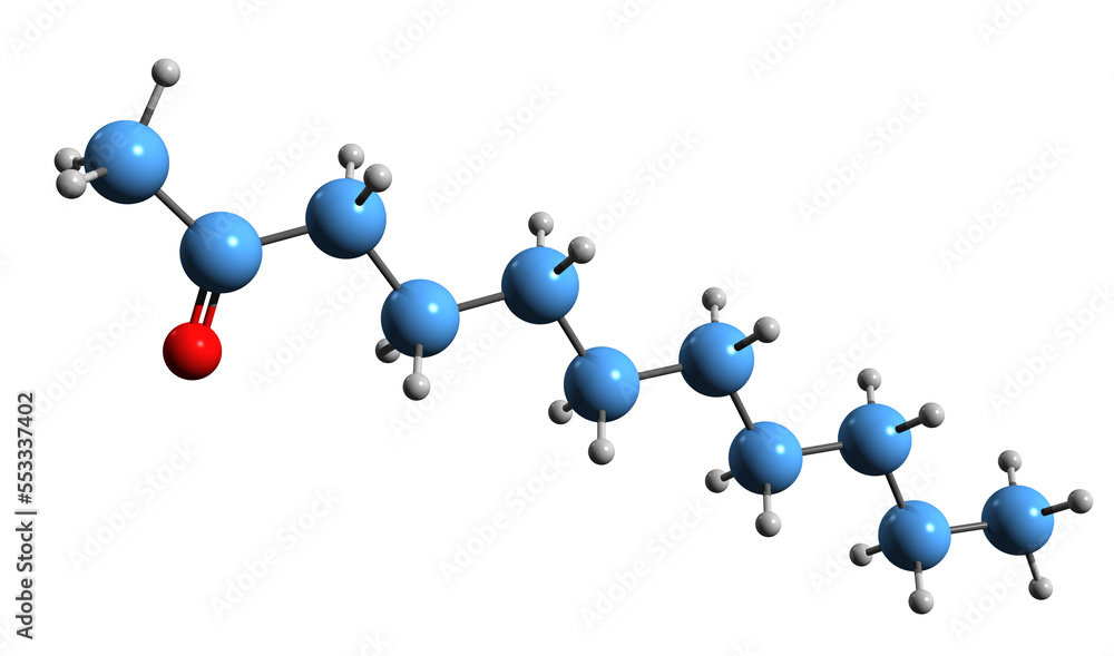 3D image of 2-Undecanone skeletal formula - molecular chemical ...