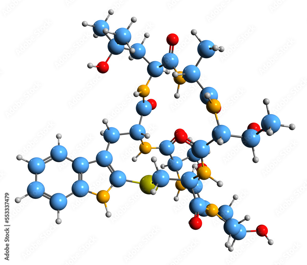 3D image of Phalloin skeletal formula - molecular chemical structure of ...