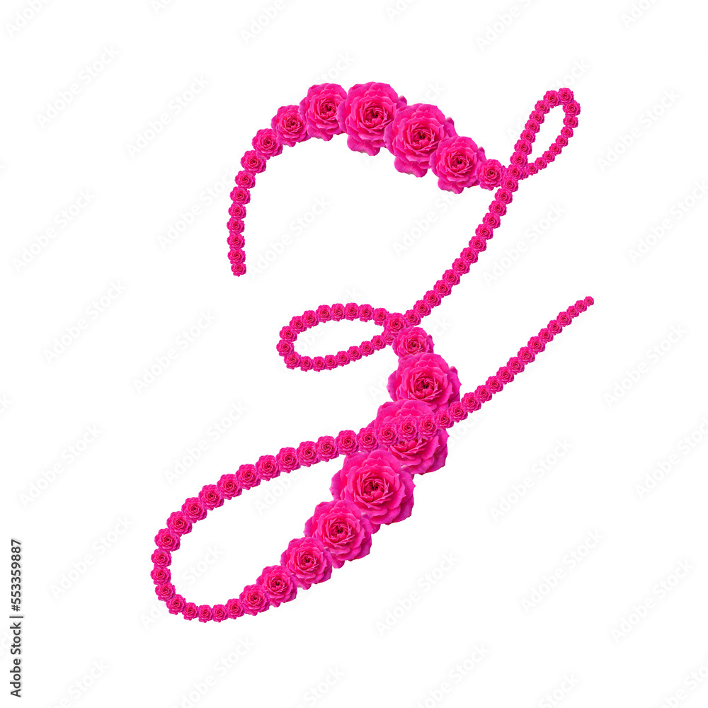Letra Z hecha con foto de rosa baby color fuccia Stock Photo | Adobe Stock