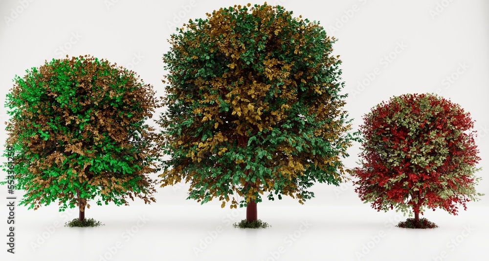 3D tree in spring or summer on white background,Hi-Resolution Beautiful ...