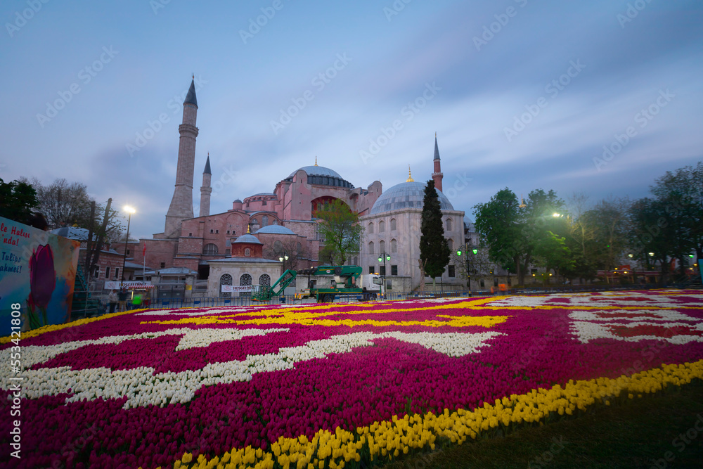 Tulips in Istanbul during Tulip festival, in Sultanahmet region with ...