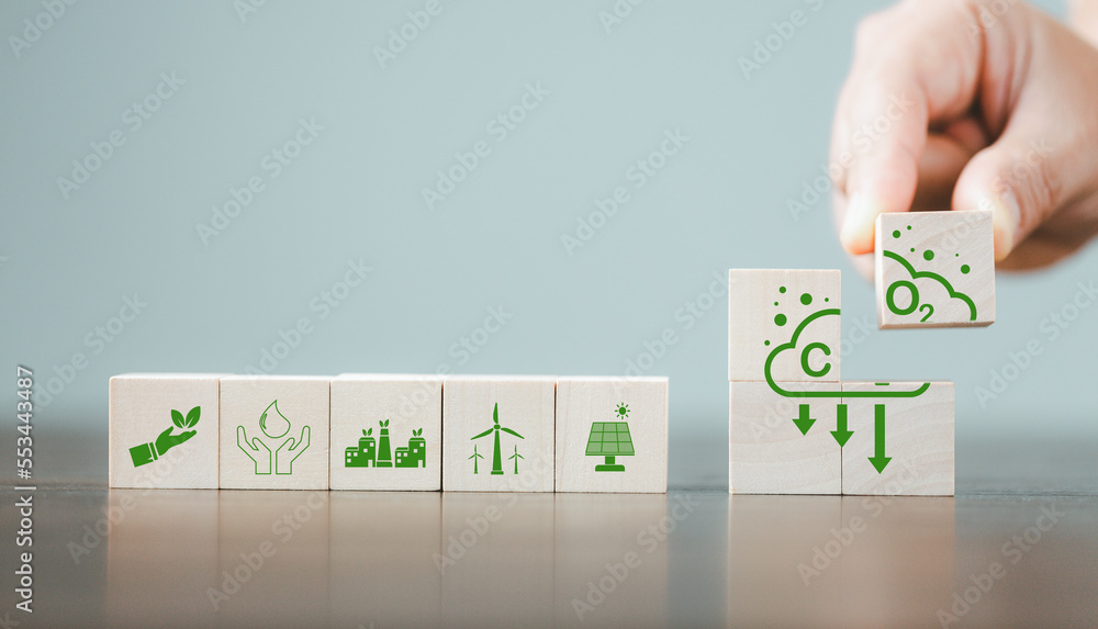 Companies are targeting net zero greenhouse gas emissions. Carbon ...