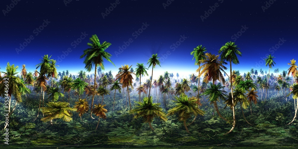 Jungle in the morning, HDRI, environment map , Round panorama ...