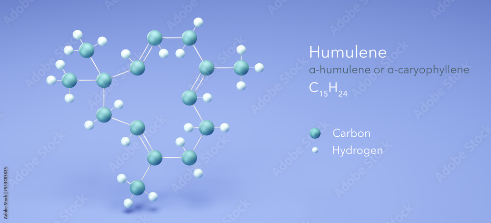 humulene molecular structures, alpha-humulene or alpha-caryophyllene 3d ...