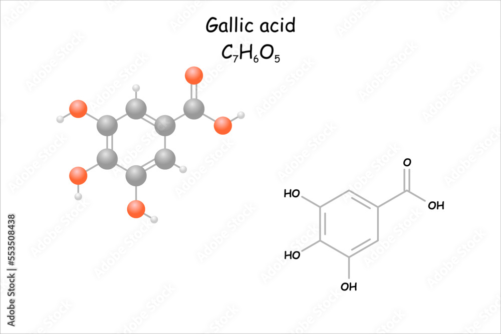 Stylized 2D molecule model/structural formula of gallic acid. Stock ...