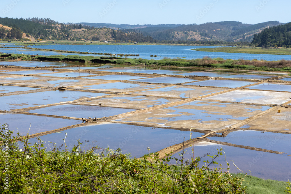Salinas de Cáhuil and Laguna Cáhuil (Pichilemu) - Chile Stock Photo ...