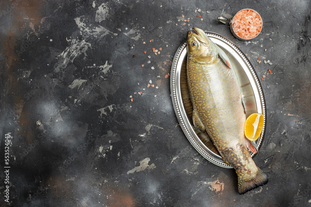 Raw arctic char fish. Culinary, cooking, bakery concept. Restaurant ...