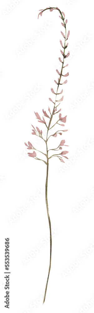 Watercolor floral clipart. Flowers illustration. Stock Illustration ...