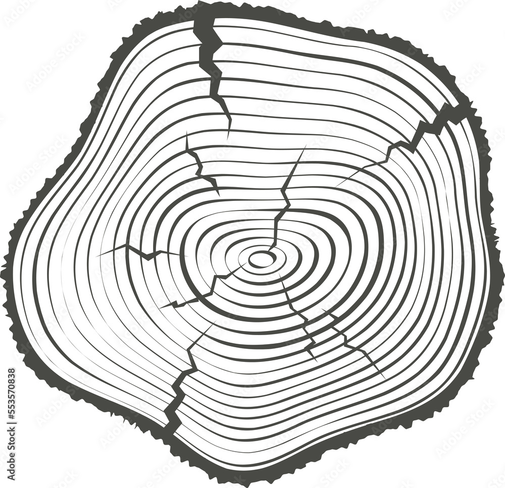 Tree ring wooden log. Circle annual stump texture and topography circle ...