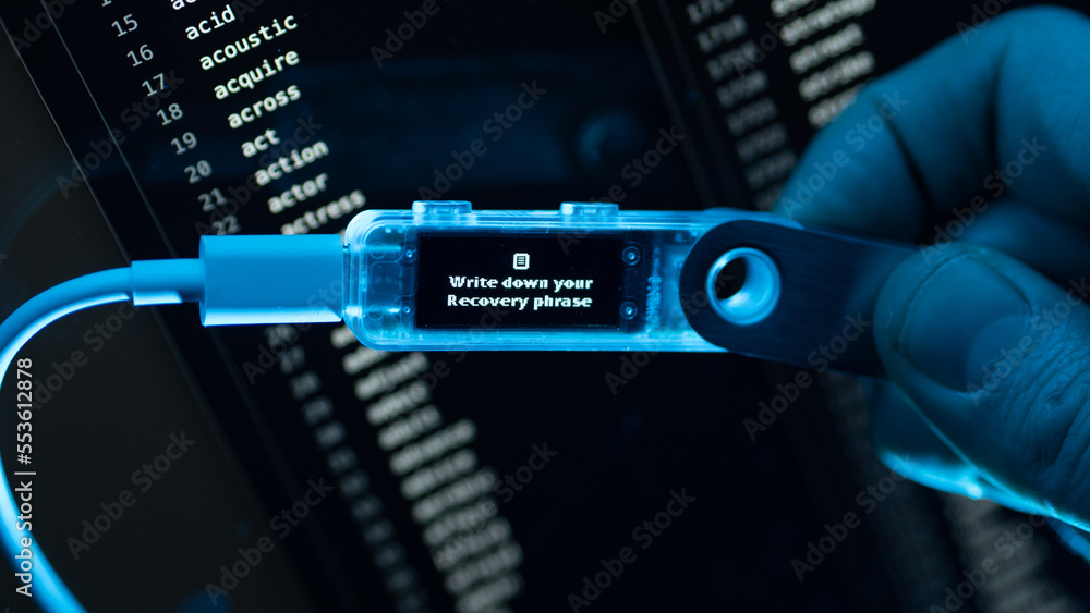 Focus on the screen of an hardware Ledger wallet . An investor ...