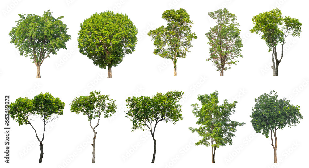 Collection of green trees isolated on transparent background. for easy ...