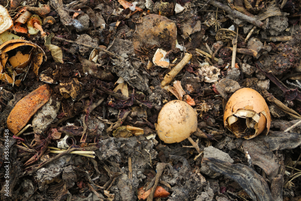 Defocus compost and composted soil cycle as a composting pile of ...