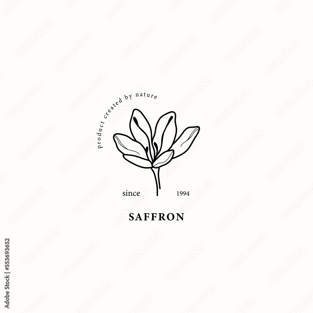 Saffron Flower Line Drawings | Best Flower Site
