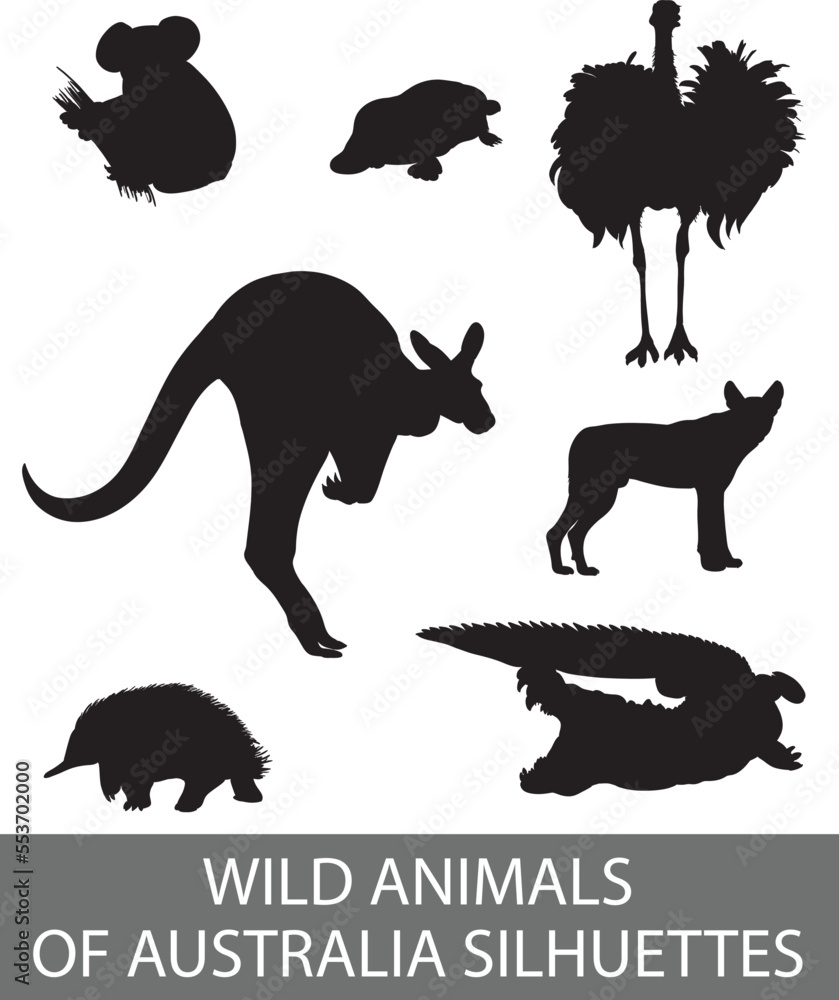Vector set of wild animals silhuettes of Australia. Black and white ...