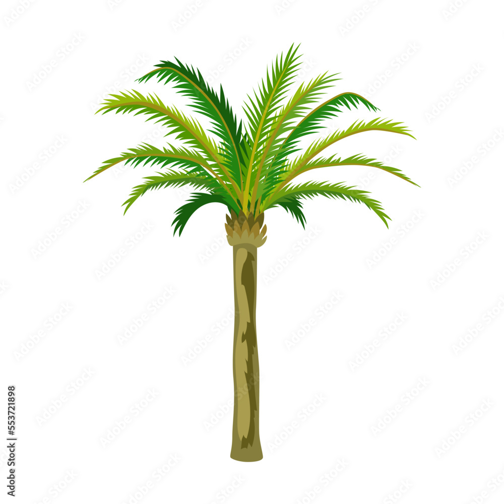 Palm tree cartoon illustration. Jungle palm tree with green leaves and ...