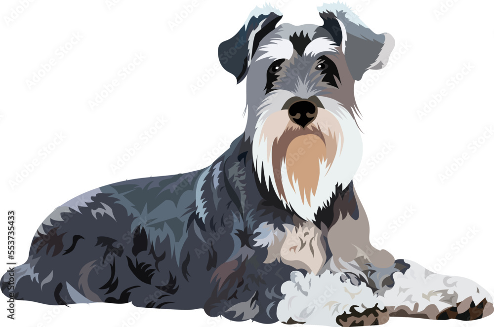 Miniature Schnauzer drawing. Cute dog character in a sitting pose, pop ...