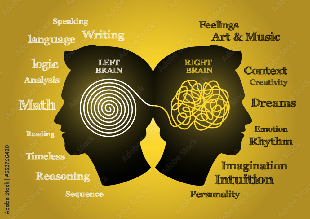 Left and right brain personality vector illustration Stock Vector ...