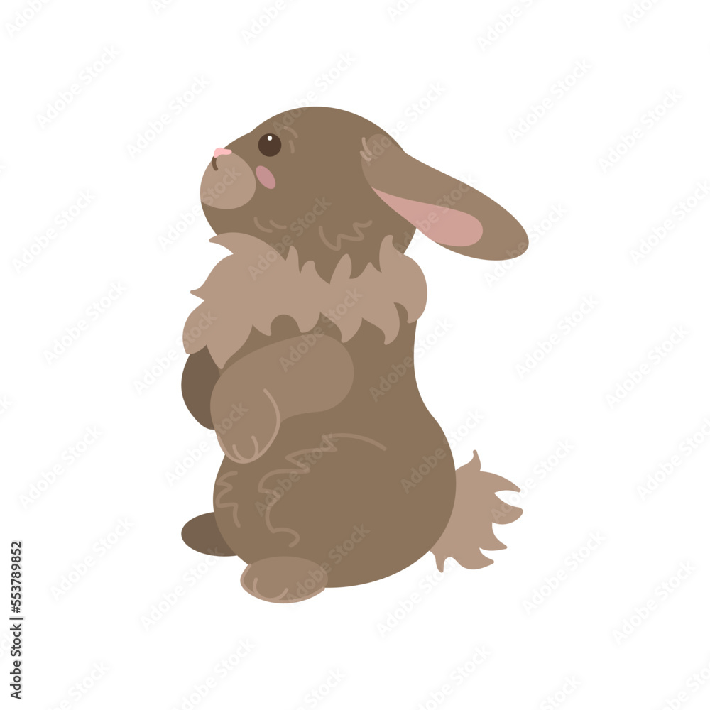 Cute brown rabbit standing on hind legs on white background. Cute bunny ...