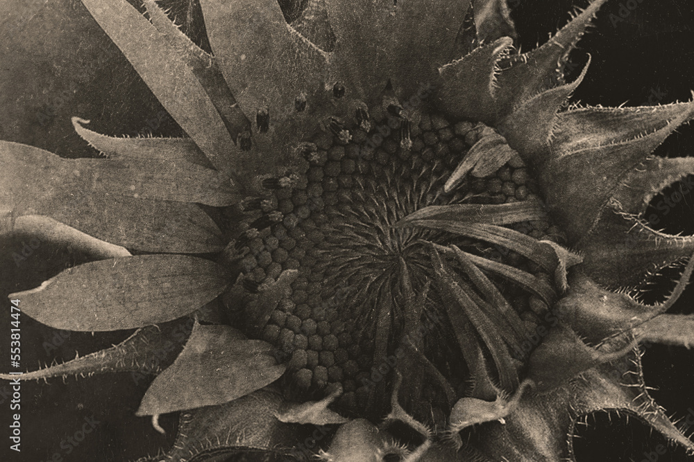 Retro Vintage Photography Beautiful Nature Landscape Hd Wallpaper ...