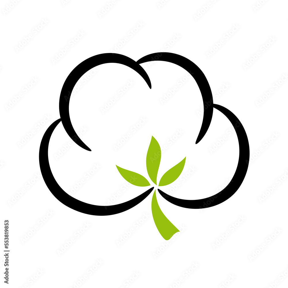 cotton flower silhouette, line art illustration over a transparent ...