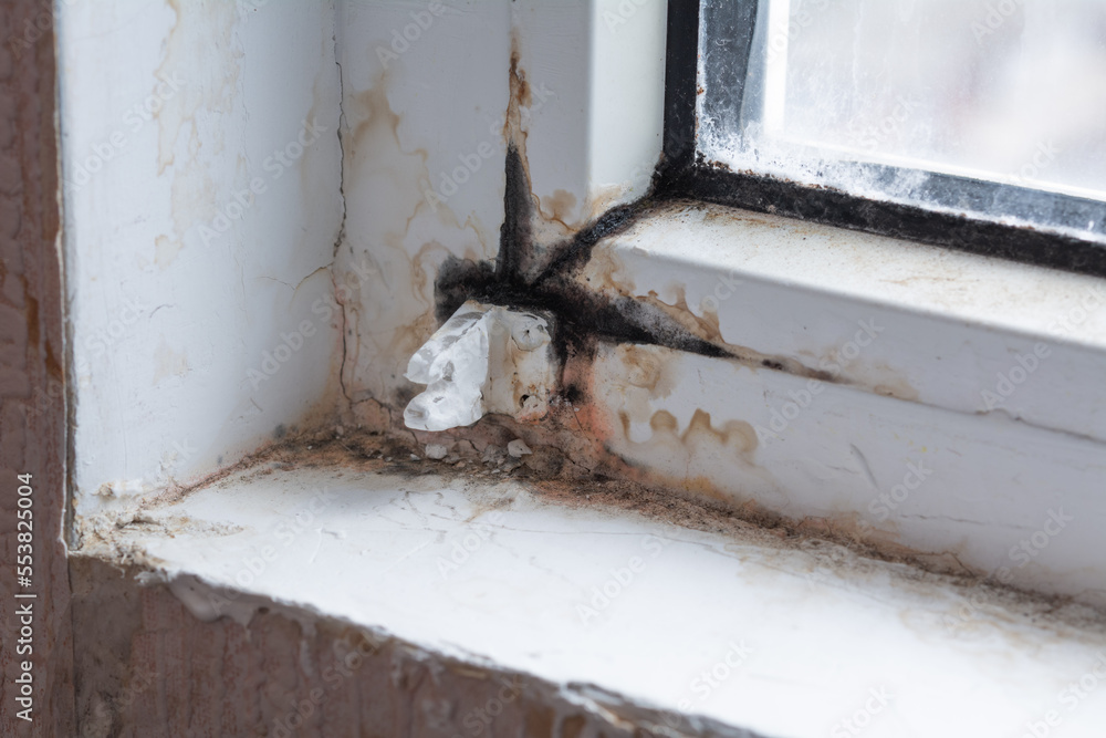 Poor quality windows. Due to poor ventilation, poor-quality ...