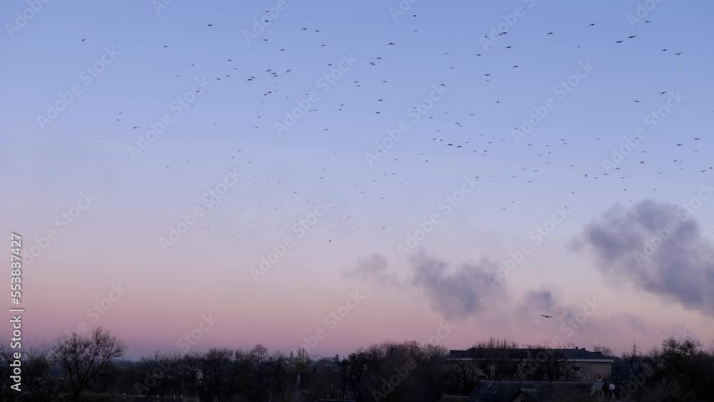 Flock of Birds Flies in a Blue Sky over Skyline of the Old City at ...