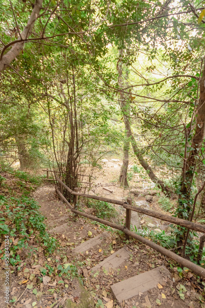 Escalera de la ruta de senderismo que sigues por las montañas del ...