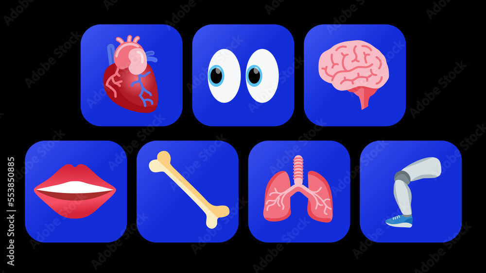 Animated Human Body Parts Video Overlay Stock Template | Adobe Stock