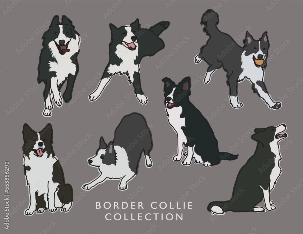 Border Collie Dog Illustration - In Color - Many Poses Stock Vector ...