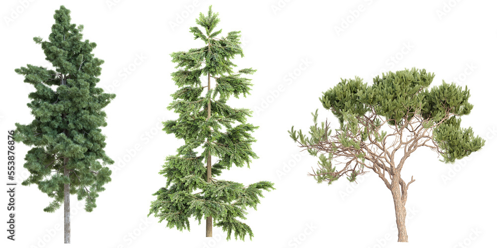 set of trees in the transparent background, 3D rendering, for digital ...