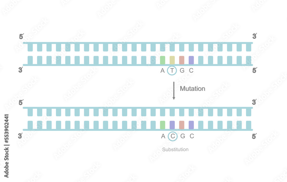 Poster A picture is showing the DNA mutation in substitution type and ...