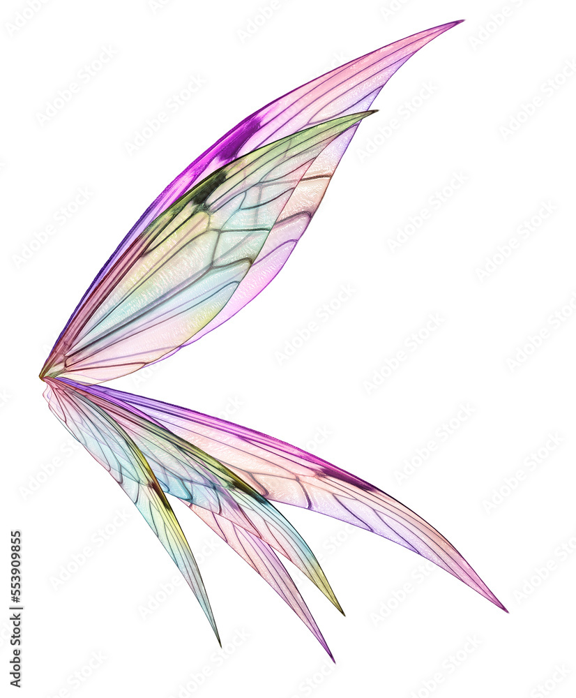 Fairy Wings Drawing Png