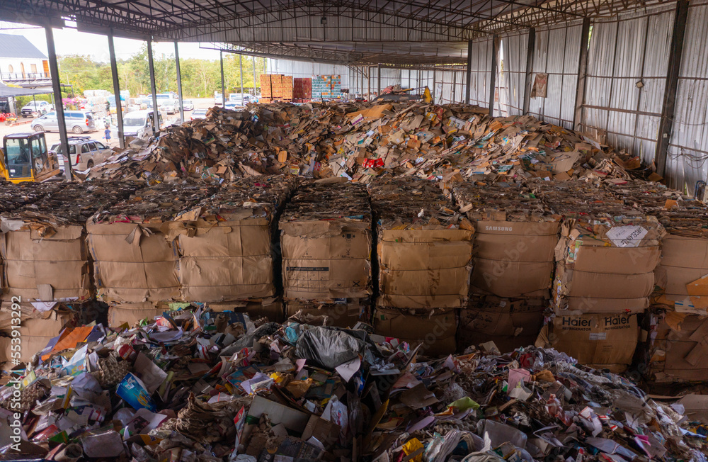 Recycling and storage of waste for further disposal, trash sorting ...