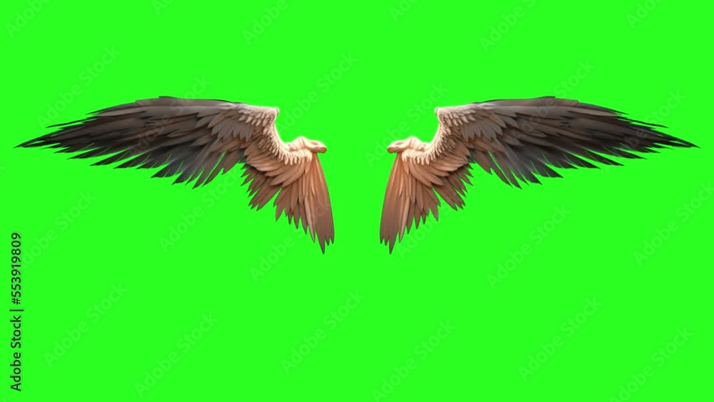 Real Angel wings green screen pack of three video , flying wings green ...