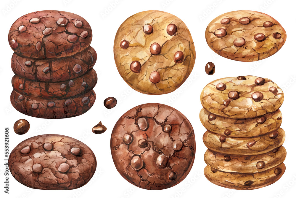 Chocolate chip cookie. biscuit on a white background, sweet watercolor ...
