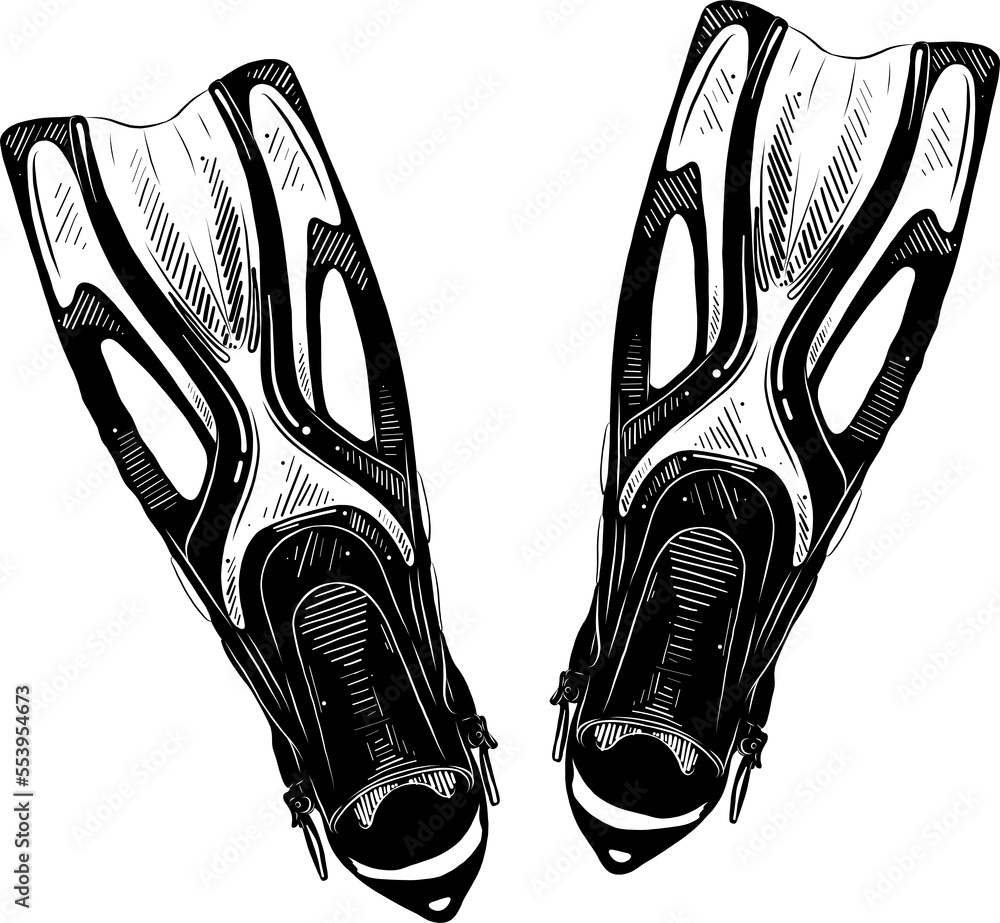 PNG engraved style illustration for posters, decoration and print. Hand ...