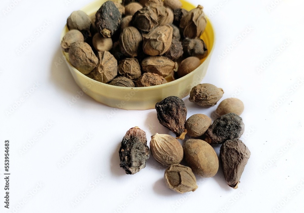 Dried Fruits of Gambhari (Gmelina arborea) commonly known as Chandahara ...