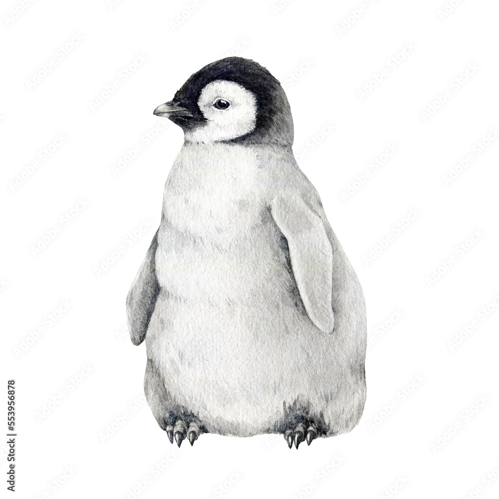 Little newborn penguin watercolor illustration. Hand drawn realistic ...