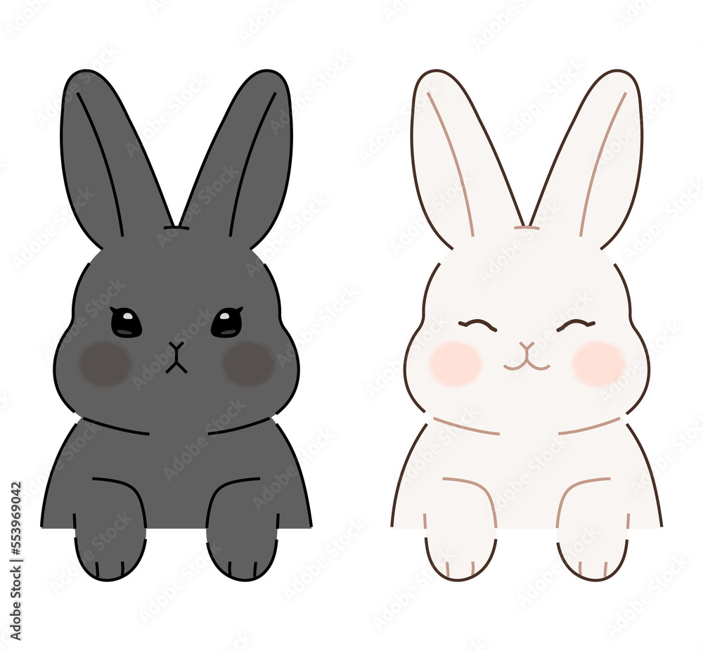 Two cute bunnies appeared on the wall. Black rabbit and white rabbit ...