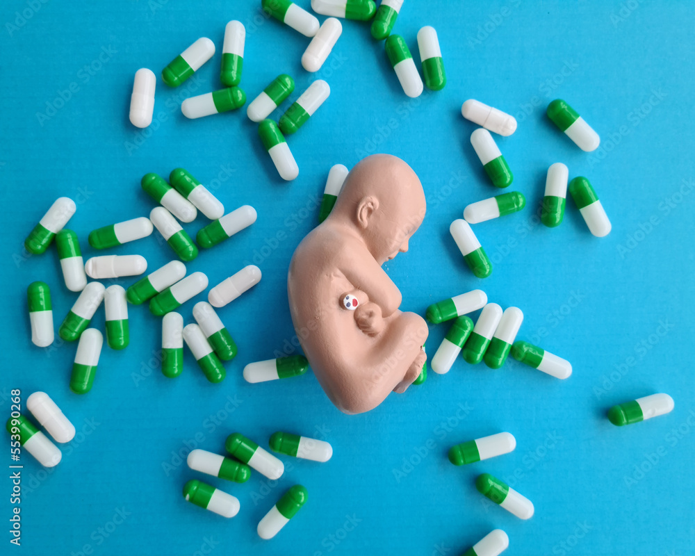 Fetus medicine embryo model and treatment concept for classroom ...
