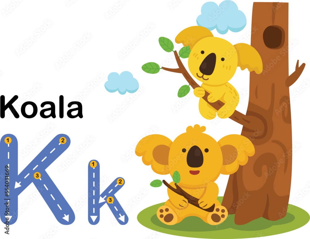 Alphabet Letter K-Koala with cartoon vocabulary illustration, vector ...