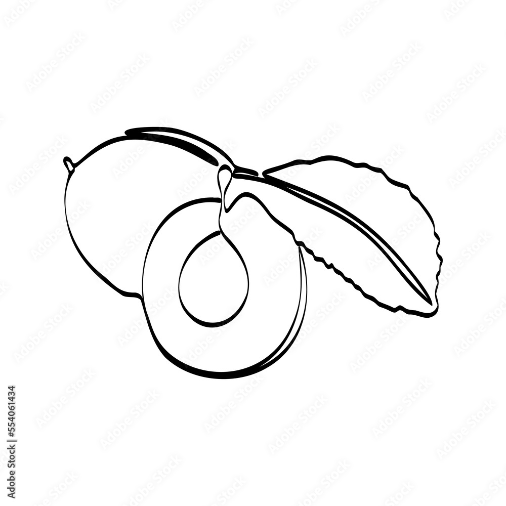 Continuous one line drawing plum. Vector illustration. Black line art ...