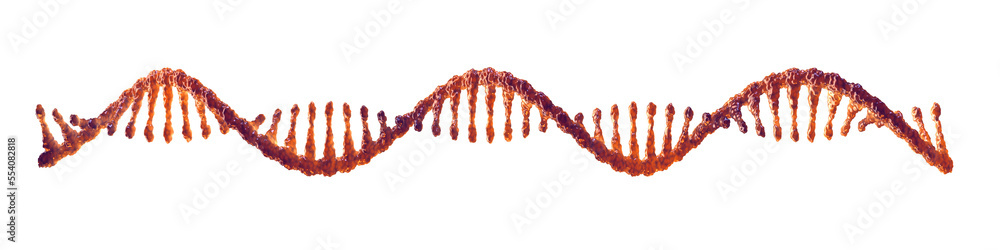 Single strand ribonucleic acid (RNA) isolated. mRNA vaccine research ...