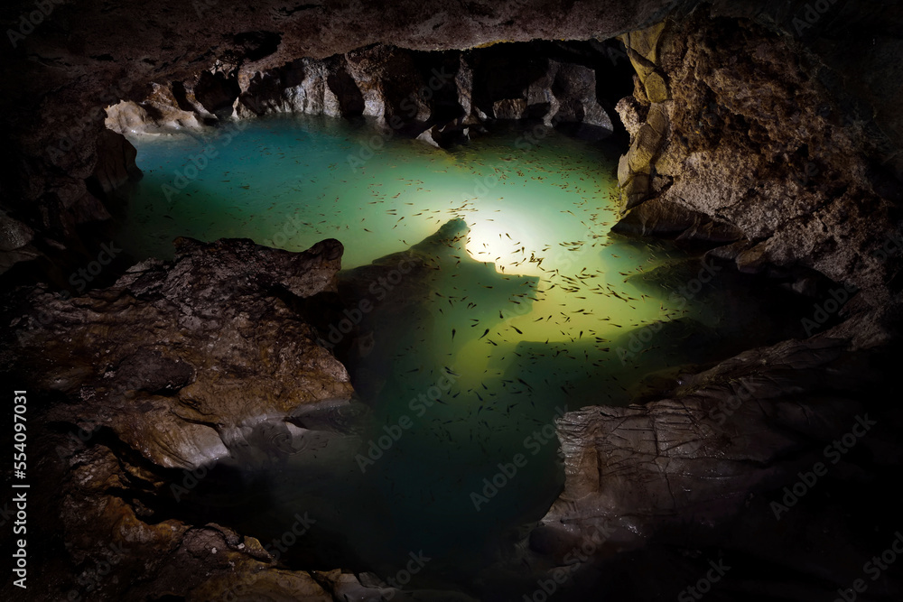 Vast numbers of cave fish inhabit a small deep pool of sulphurous water ...