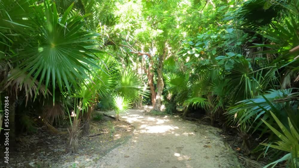 Walk through the colorful jungle in the archaeological zone of Tulum ...