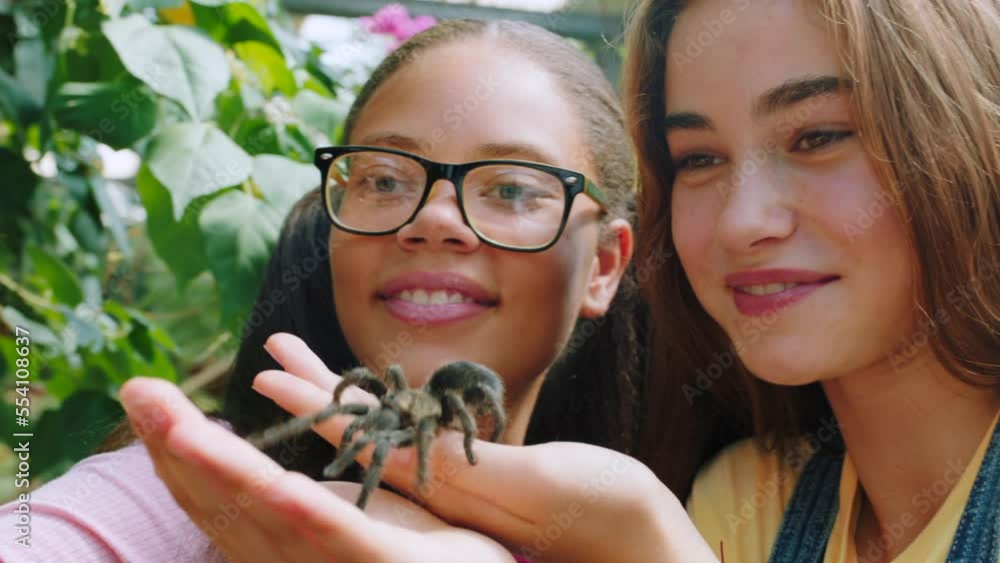 Spider, friends and phone with girl in zoo and selfie for learning ...