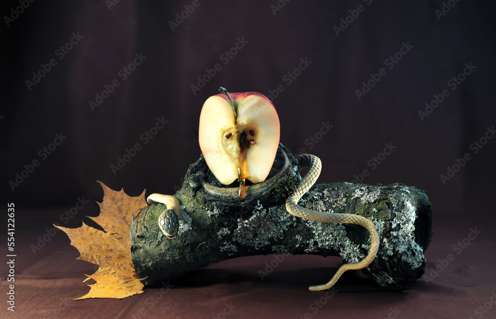 the Fall of Man, Adam, Eve, Garden, Eden, Bible, tree, apple, Stock ...