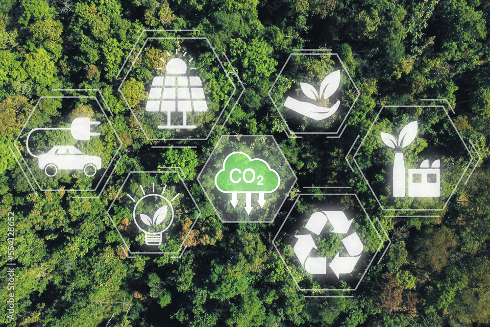 Reduce CO2 emission concept, Top view Green forrest background with ...
